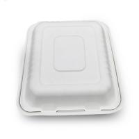 China Biodegradable Bagasse Food Container 215mm Take Away Lunch Box Eco Friendly Sugarcane Packaging for sale