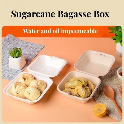 China Eco Friendly Sugarcane Bagasse Burger Box 155mm x 152mm x 78mm Biodegradable Food Container for sale