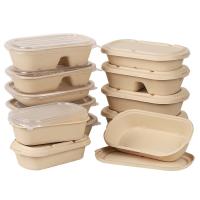 China Sugarcane Bagasse Food Container 195mm x 115mm x 35mm Biodegradable Disposable Takeaway Box for sale
