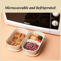 China Sugarcane Bagasse Food Container 195mm x 115mm x 35mm Biodegradable Disposable Takeaway Box for sale