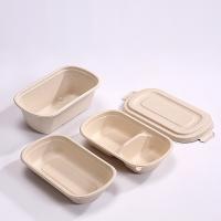 China Sugarcane Bagasse Food Container 195mm x 115mm x 35mm Biodegradable Disposable Takeaway Box for sale