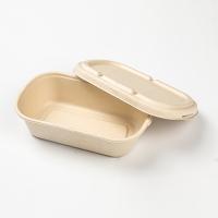 China Sugarcane Bagasse Food Container 195mm x 115mm x 35mm Biodegradable Disposable Takeaway Box for sale