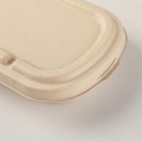 China Sugarcane Bagasse Food Container 195mm x 115mm x 35mm Biodegradable Disposable Takeaway Box for sale