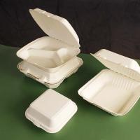 China Customized Sugarcane Bagasse Pulp Clamshell for Your Business Needs for sale