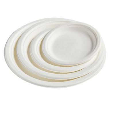 China Eco-Friendly Disposable Paper Plate 2.9g Sturdy Non-Slip 1000pcs per Carton for sale