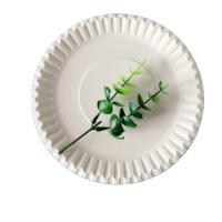 China Eco-Friendly Disposable Paper Plate 2.9g Sturdy Non-Slip 1000pcs per Carton for sale