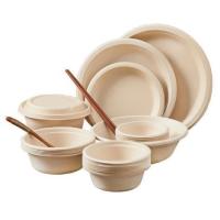 China Full Payment Compostable and Biodegradable Plates Made from Natural Sugarcane Bagasse for sale