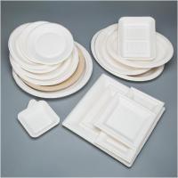 China Full Payment Compostable and Biodegradable Plates Made from Natural Sugarcane Bagasse for sale