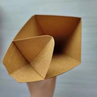 China Customized Foldable Take Away Paper Cone Box for Popular Chips Oil Proof Bag Included for sale