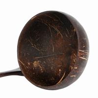 China Natural Coconut Shell Bowl 10000 MOQ Eco Friendly Biodegradable Food Grade Fruit Yogurt Bowl for sale