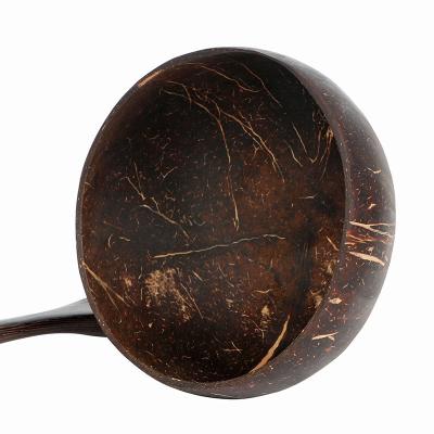 China Natural Coconut Shell Bowl 10000 MOQ Eco Friendly Biodegradable Food Grade Fruit Yogurt Bowl for sale