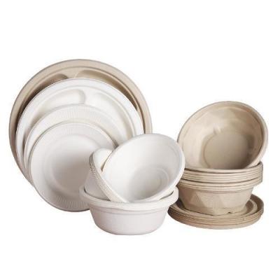 China Customized Environment Friendly Disposable Tableware for Birthday Party Paper Plate for sale