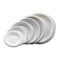 China Biodegradable Bagasse Round Paper Plates 2.9g Disposable Eco Friendly Tableware for sale