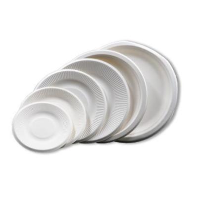 China Biodegradable Bagasse Round Paper Plates 2.9g Disposable Eco Friendly Tableware for sale