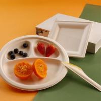 China Biodegradable Bagasse Round Paper Plates 2.9g Disposable Eco Friendly Tableware for sale