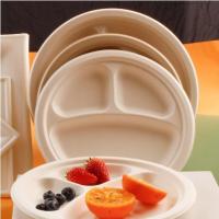 China Biodegradable Bagasse Round Paper Plates 2.9g Disposable Eco Friendly Tableware for sale