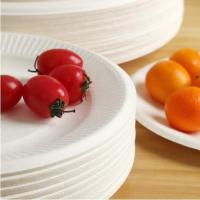 China Biodegradable Bagasse Round Paper Plates 2.9g Disposable Eco Friendly Tableware for sale