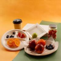 China Biodegradable Bagasse Round Paper Plates 2.9g Disposable Eco Friendly Tableware for sale