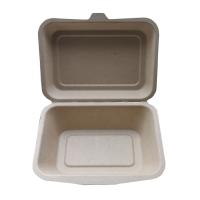 China Biodegradable Sugarcane Bagasse Lunch Box 7x5 Inch 500-1000ml Eco-Friendly Disposable Food Container for sale