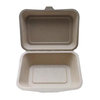 China Biodegradable Sugarcane Bagasse Lunch Box 7x5 Inch 500-1000ml Eco-Friendly Disposable Food Container for sale