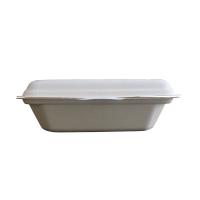 China Biodegradable Sugarcane Bagasse Lunch Box 7x5 Inch 500-1000ml Eco-Friendly Disposable Food Container for sale