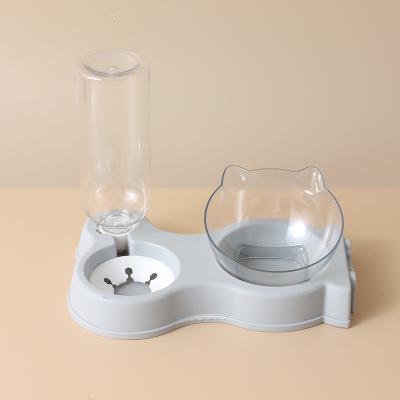 China Double Bowl Pet Feeder for Dogs Cats Ergonomic Non-Slip Easy Clean 2 Bowl Set for sale