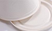 China 1oz Eco Friendly Degradable Sauce Cup Made from Sugarcane and Straw Pulp for OEM for sale