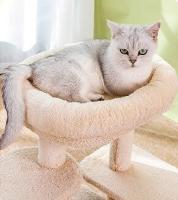 China Custom Size Multi-Layer Cat Jumping Platform Sisal Scratching Post M Size 200pcs MOQ for sale