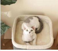 China Custom Two Floor Cat Scratch Board with Cat Beds Cat House Furniture 80cm for sale
