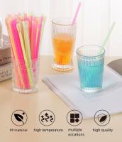 China Disposable Milkshake Straw with Spoon PP Tube 6mm x 200mm Eco-Friendly Dual-Use for sale