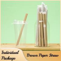 China Eco Friendly Disposable Paper Straw 6mm x 197mm White Brown Custom Logo for sale