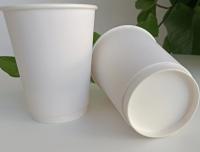 China Disposable 12oz 300g Double Wall Paper Cups 2.5oz to 22oz Custom Sizes Available for sale