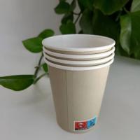 China Custom Printed Biodegradable Single Wall Paper Cup 4-20oz Food Grade PE Coating 150-300GSM for sale