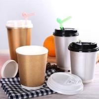 China Double Wall Paper Coffee Cup 8oz with PS PP Lids Disposable Eco Friendly Custom Size for sale