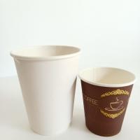 China 100% Compostable 7oz/8oz/12oz Paper Cup for Water/Juice/Tea/Coffee Customization for sale