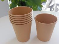 China Sample 100% Paper Plastic-Free Biodegradable Disposable Coffee Paper Cup Custom Logo for sale