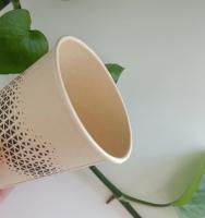 China Disposable Single Wall 18PE 300GSM Paper Cup 4-20oz for Coffee Tea Beverage for sale