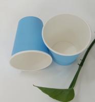 China 8oz 190g 18PE Single Wall Disposable Paper Cup for Hot Tea Coffee Customizable for sale