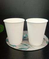 China 20oz 340GSM Single Wall Paper Cup with 18PE Coating for Hot Drinks for sale