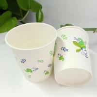 China Single Wall Disposable Paper Cup 8 Oz Food Grade Eco Friendly Biodegradable for Coffee Tea Juice for sale