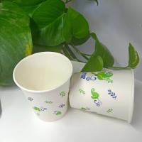 China Single Wall Disposable Paper Cup 8 Oz Food Grade Eco Friendly Biodegradable for Coffee Tea Juice for sale