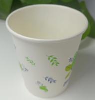 China Single Wall Disposable Paper Cup 8 Oz Food Grade Eco Friendly Biodegradable for Coffee Tea Juice for sale