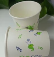 China Single Wall Disposable Paper Cup 8 Oz Food Grade Eco Friendly Biodegradable for Coffee Tea Juice for sale