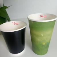 China 8 oz Double Wall Coffee Paper Cup 260g 18 PE Biodegradable Disposable Hot Cup for sale