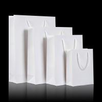 China Custom Printing Biodegradable Paper Gift Handbag for Eco-Friendly Packaging Solutions for sale