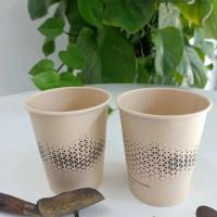 China Single Wall Paper Cup for Cold Drinks Various Sizes Custom Printed Disposable 4-22 Oz for sale