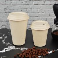 China Disposable Eco-Friendly Sugarcane Bagasse Paper Cup 73mm with Lid Biodegradable for sale