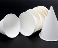 China White Disposable Paper Cone Cup 4oz 67x93mm PE Coated Hot Drink Cup for Public Places for sale