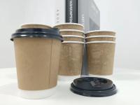 China Custom Logo Disposable Double Wall Kraft Paper Coffee Cup 3oz to 16oz with Lid for sale