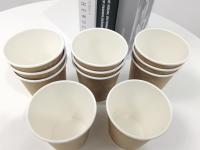 China Disposable Double-Layer 8 Oz Coffee Cup with Lid Initial Payment Custom Logo Full Payment for sale